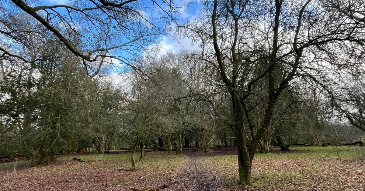 The Limpsfield Way - Ramblers